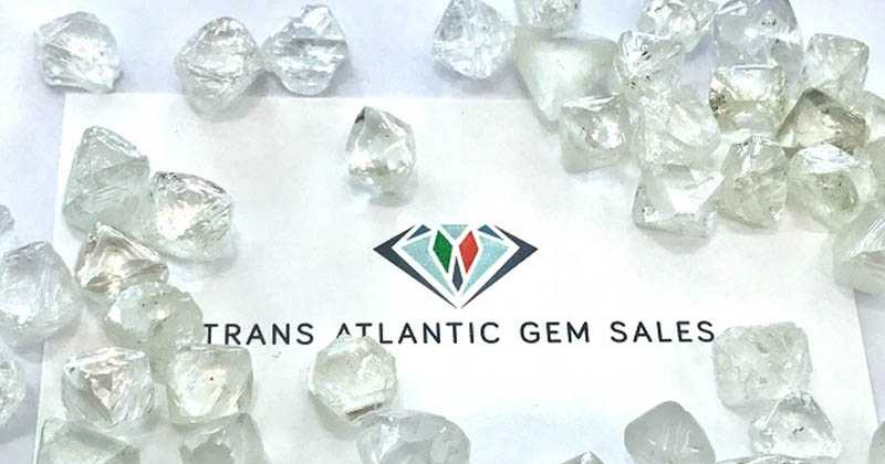 ટેન્ડરમાં તમામ શ્રેણીમાં બિડિંગ મજબૂત રહ્યું અને ડિસેમ્બર 2023ના ટેન્ડર ...